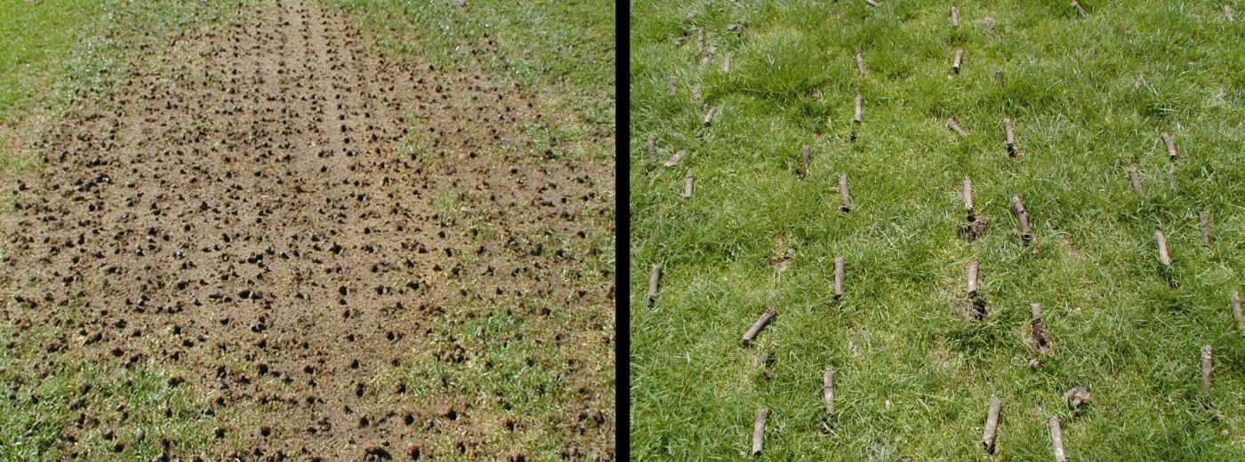 Aeration: A Foundational Practice for Sports Fields | SportsField ...