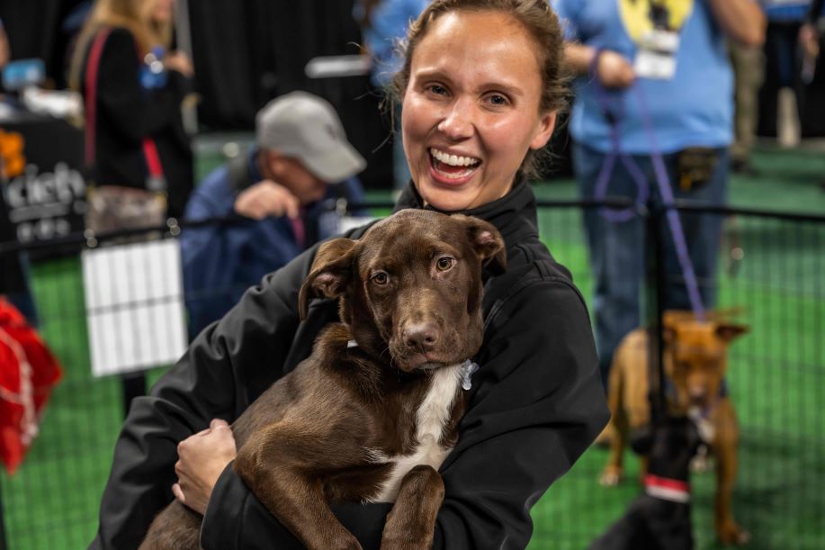 Mutt Madness returns to Equip Expo by popular demand