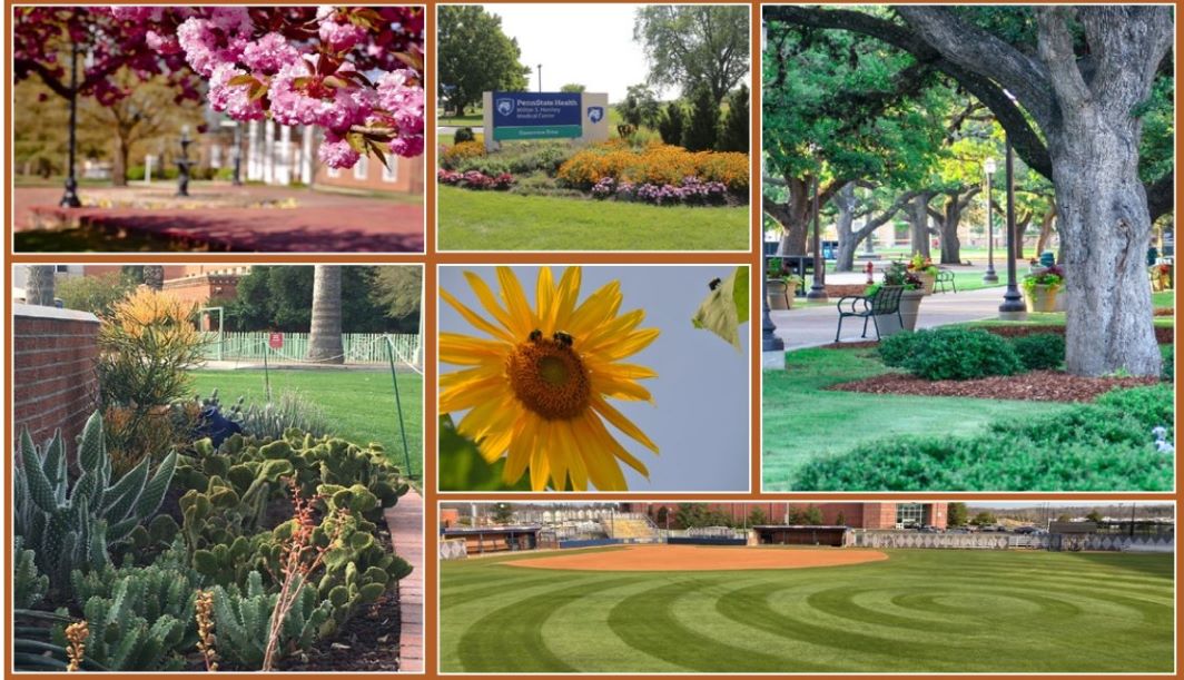 2024 PGMS Green Star Awards coming soon