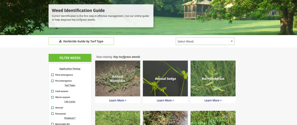 Syngenta launches free weed identification guide